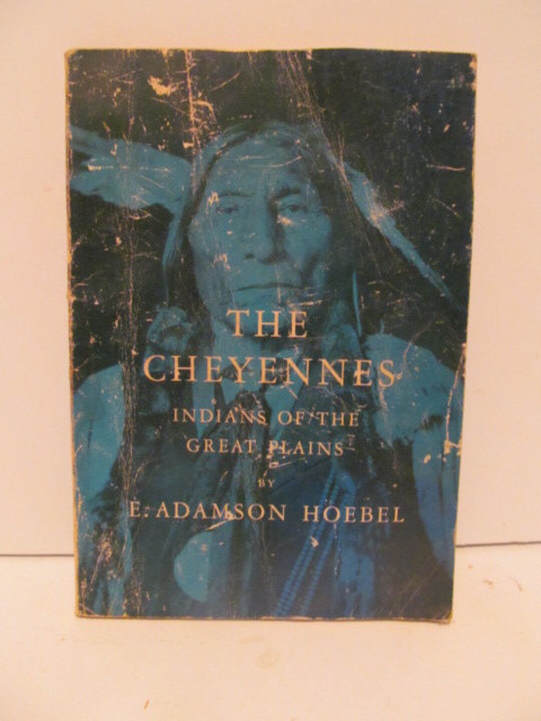 The Cheyennes Indians the Great Plains the American Indian Books Native ...