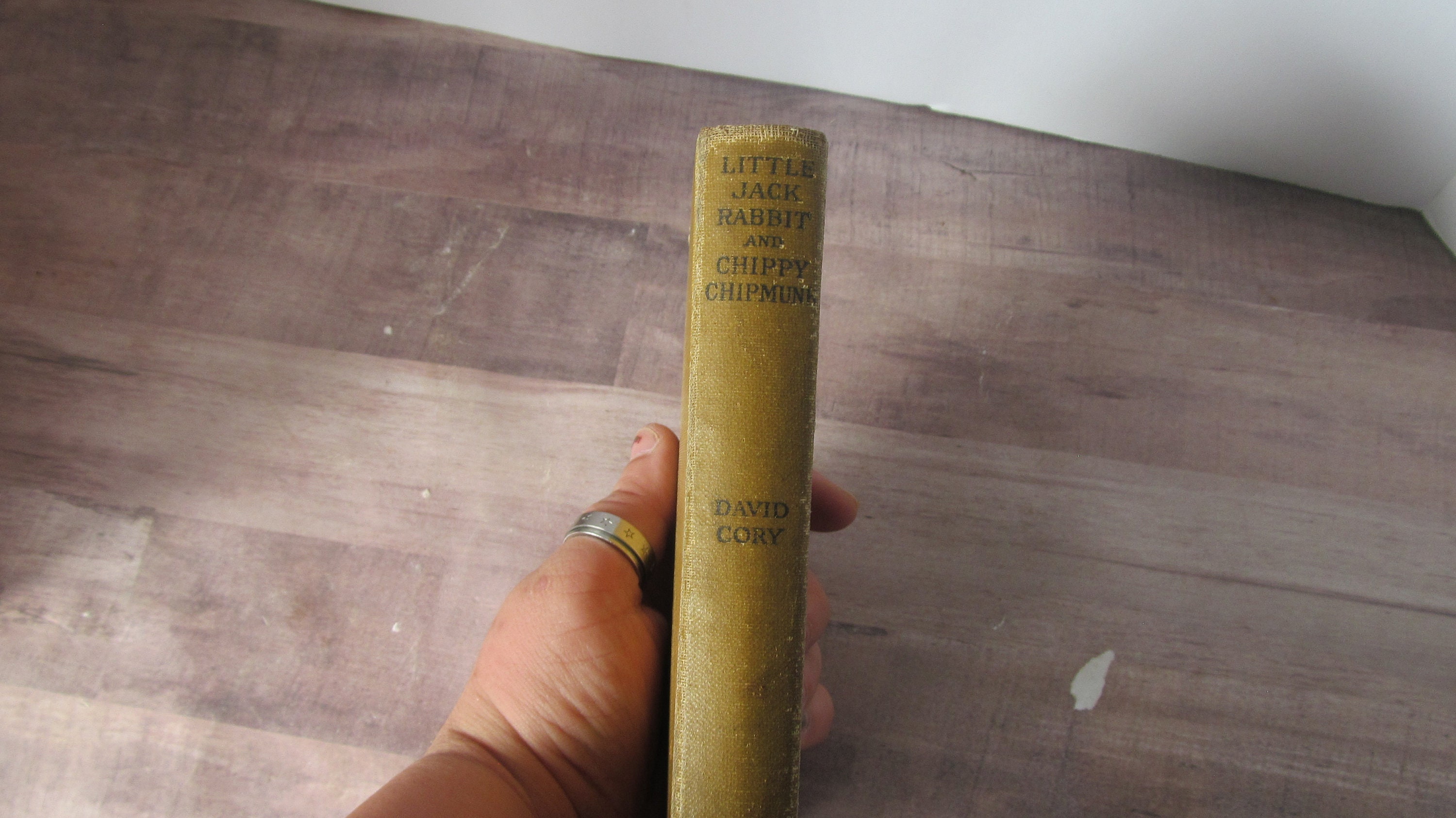 Little Jack Rabbit and Chippy Chipmunk Childrens Storybook, Antique ...