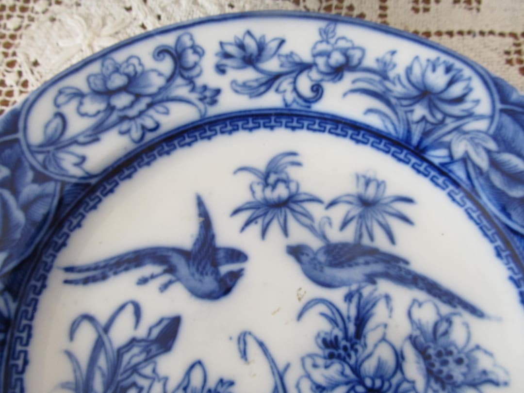 Cauldon England Birds Flow Blue China Flow Blue Aesthetic Blue and ...
