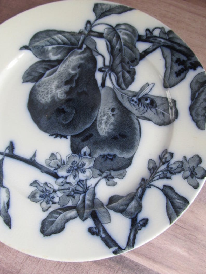 Antique FLOW BLUE Plates Pear Decor Flow Blue China Cobalt | Etsy