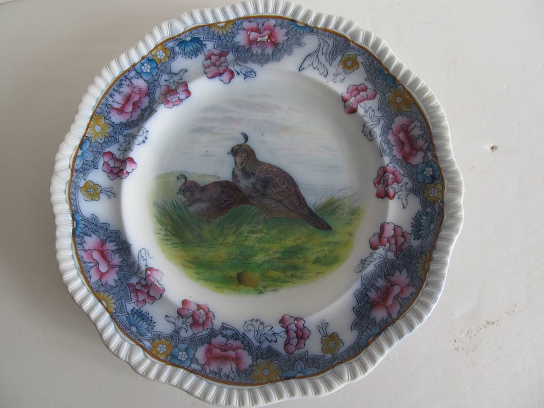 English Polychrome Plate California Quail Pattern Ca 1862-1880 Hand ...