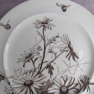Bumble Bees Daiseys Flies 1800s Victorian Aesthetic Movement Era Plates ...