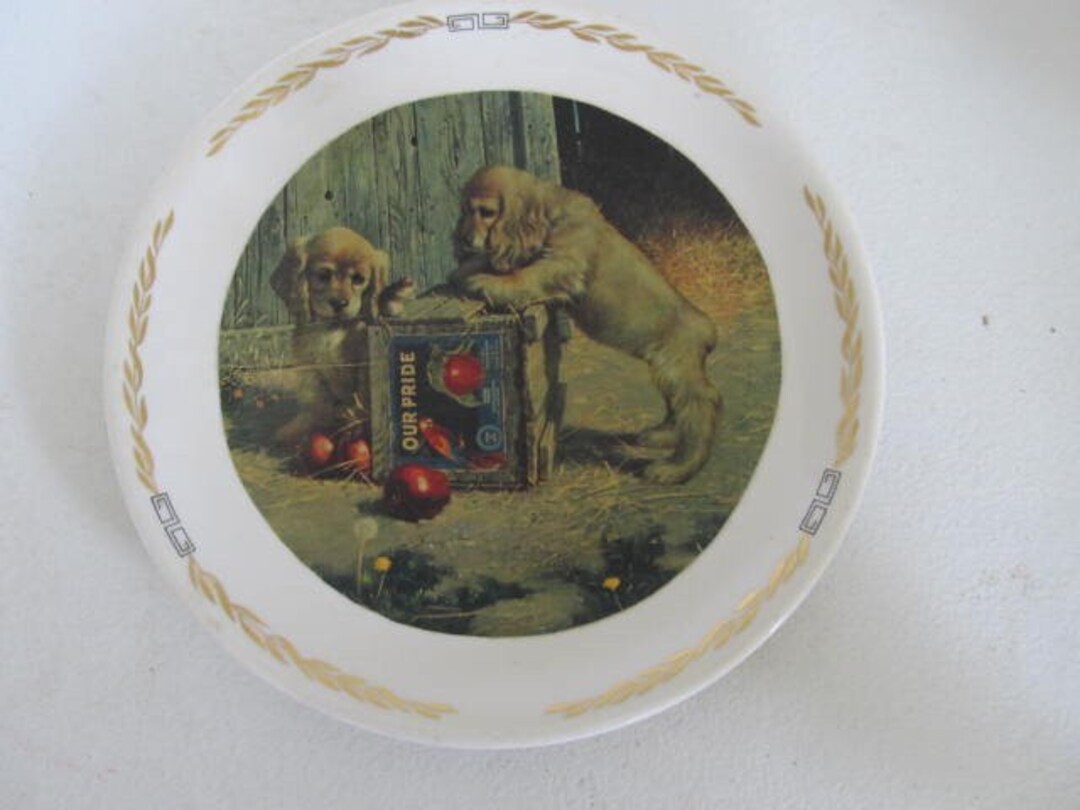 Cocker Spaniel Puppies Plate 9" Plate Syracuse China USA Dog Collectors ...