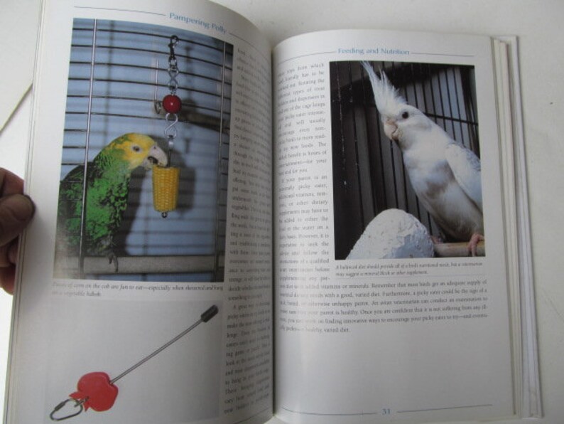Pampering Polly Parrots Book Guide to Parrots How to Train - Etsy