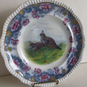 English Polychrome Plate California Quail Pattern Ca 1862-1880 Hand ...