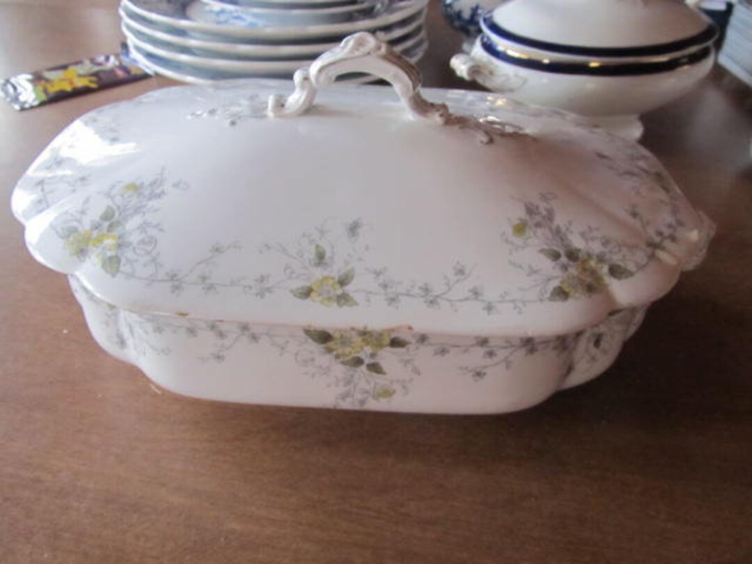 T & R Boote Waterloo Potteries Transferware Schonbrunn White Ironstone ...
