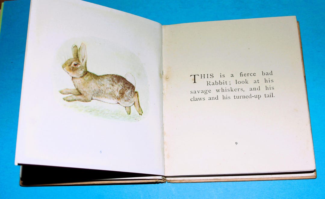 Rare Vintage Beatrix Potter Book the Story of A Fierce Rabbit 1947 ...