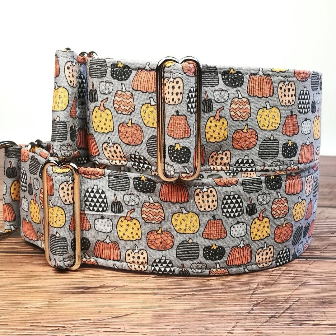 Halloween Dog Collar Fall Martingale Pumpkins Dog Collar, Boy Dog ...