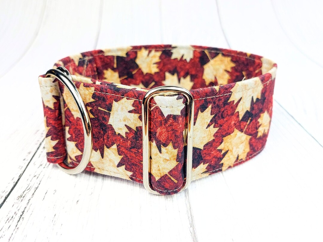 Dog Collar Maple Leaves Red Greyhound Collar, Limited Slip Martingale ...