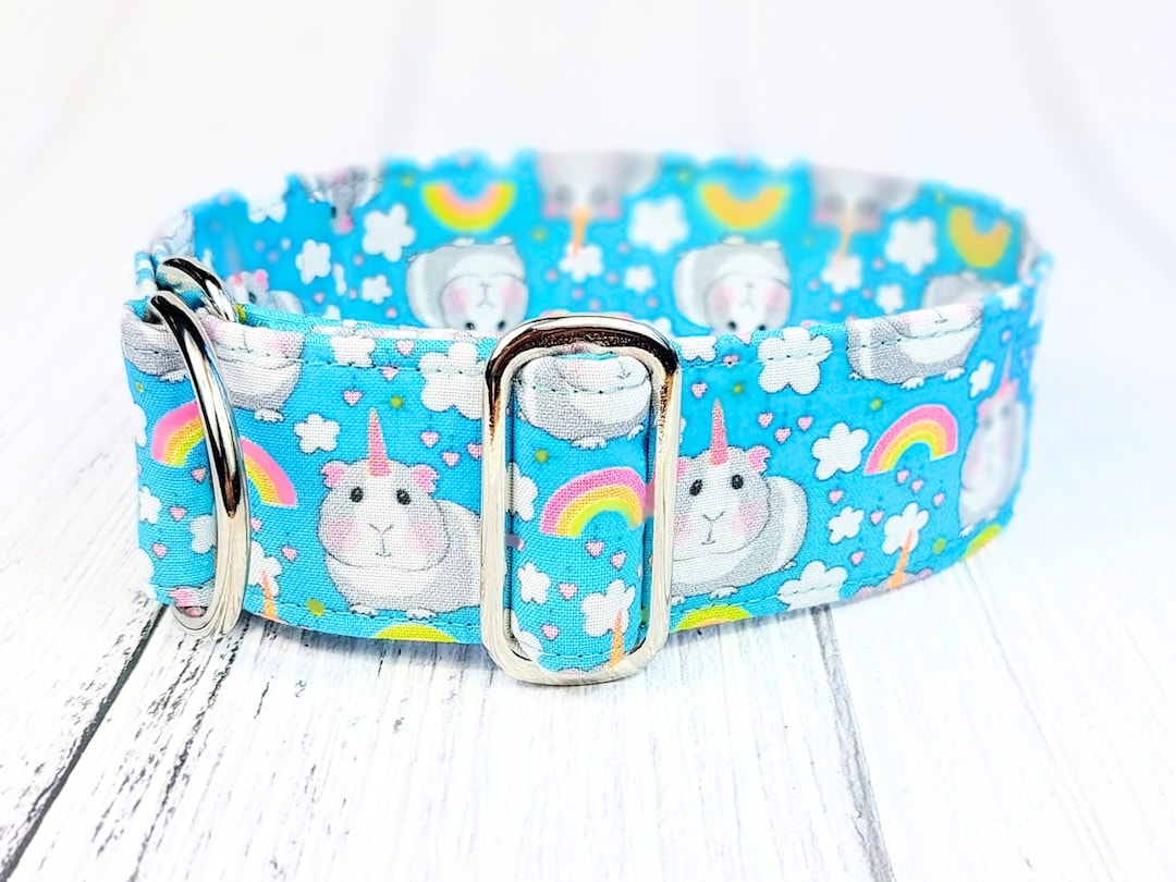 Unicorn Dog Collar With Guinea Pigs, Rainbow Greyhound Collar ...