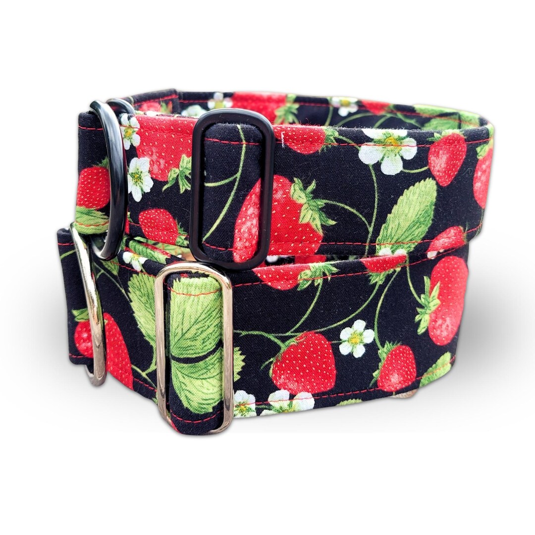 Strawberry Dog Collar, Greyhound Collar Black and Red, Summer Fruits ...