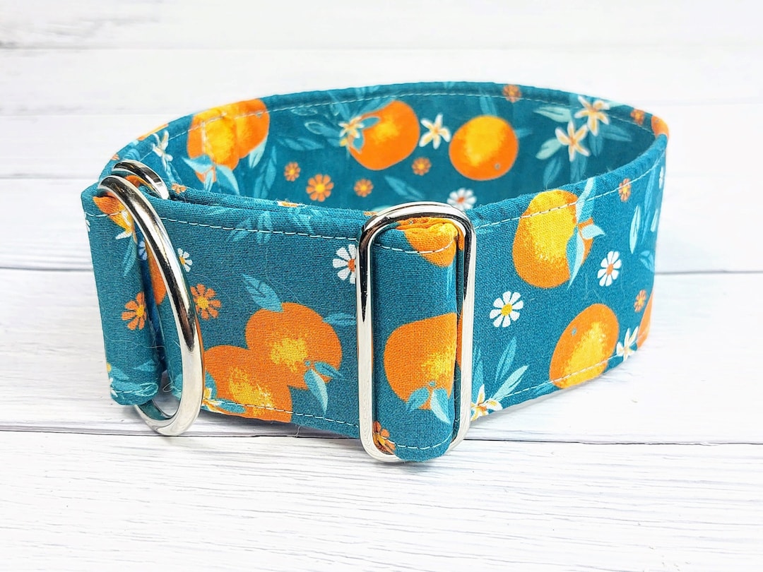 Clementine Dog Collar, Greyhound Collar Teal and Orange, Summer Fruits ...