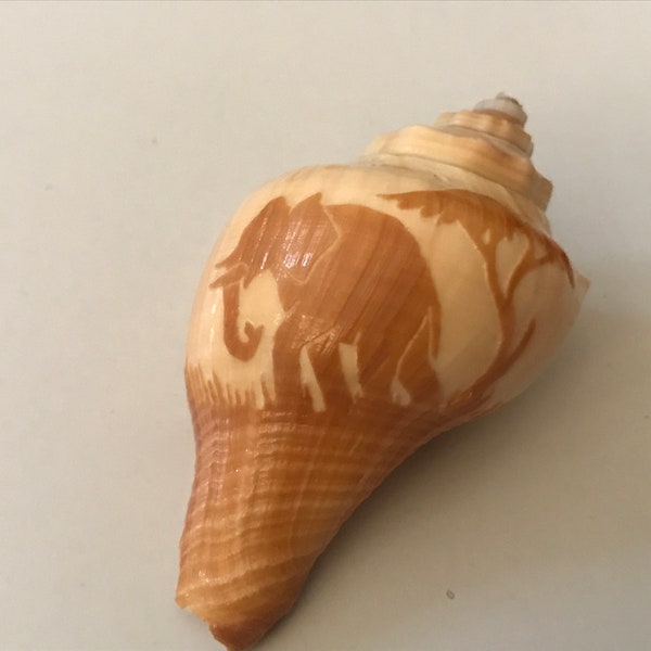 Palm Tree Prawns - Etsy