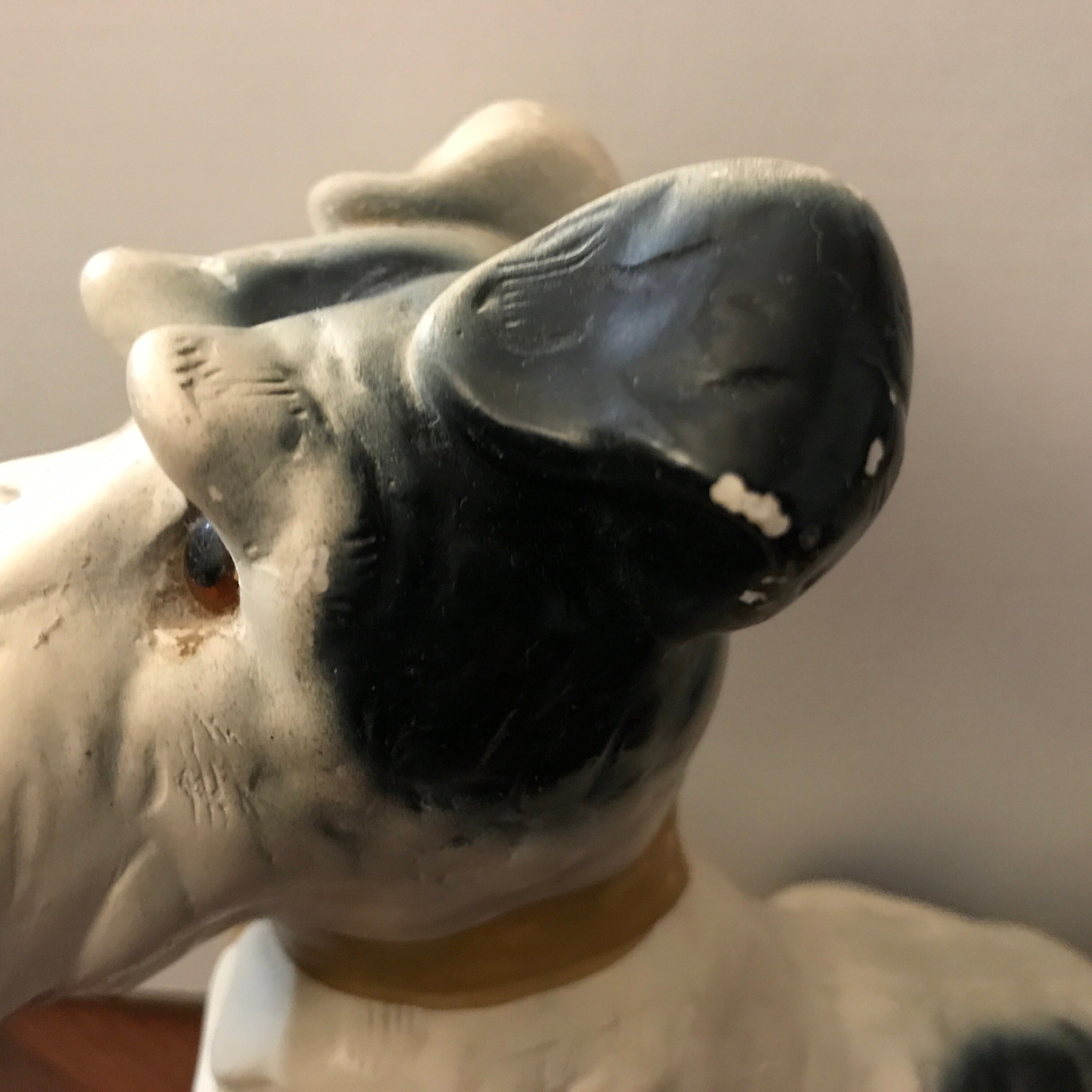 Vintage Chalkware Terrier Dog White Black Spot Shanks Salina Kansas ...