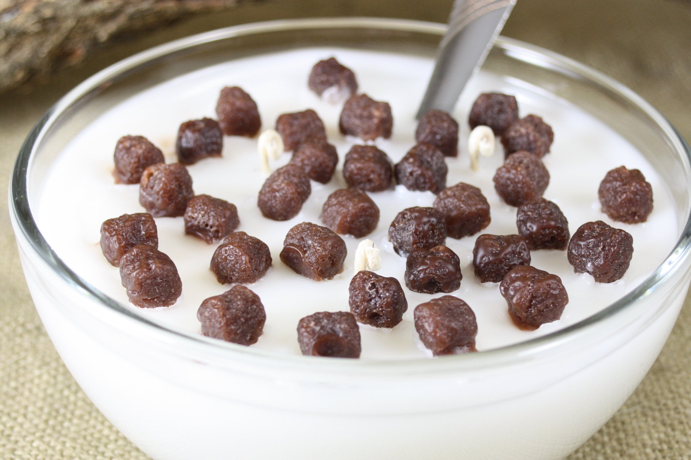 Cocoa Puffs Cereal Bowl