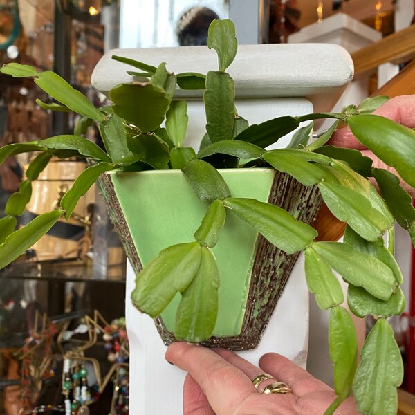 Mcm Planter Hanging - Etsy