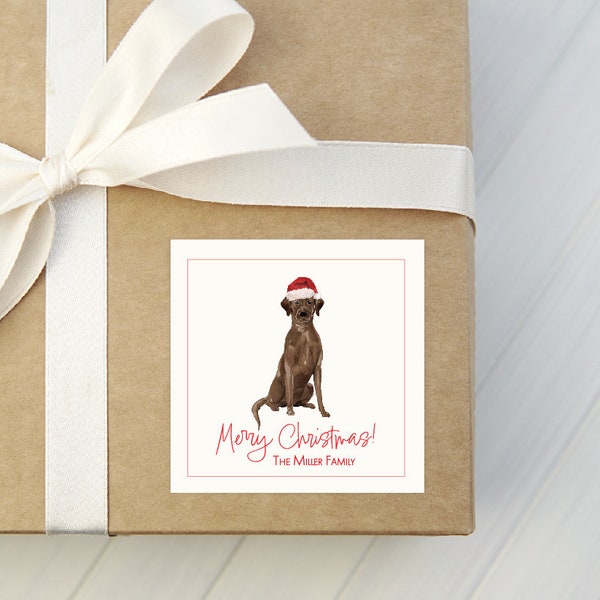 Chocolate Lab Stickers - Etsy