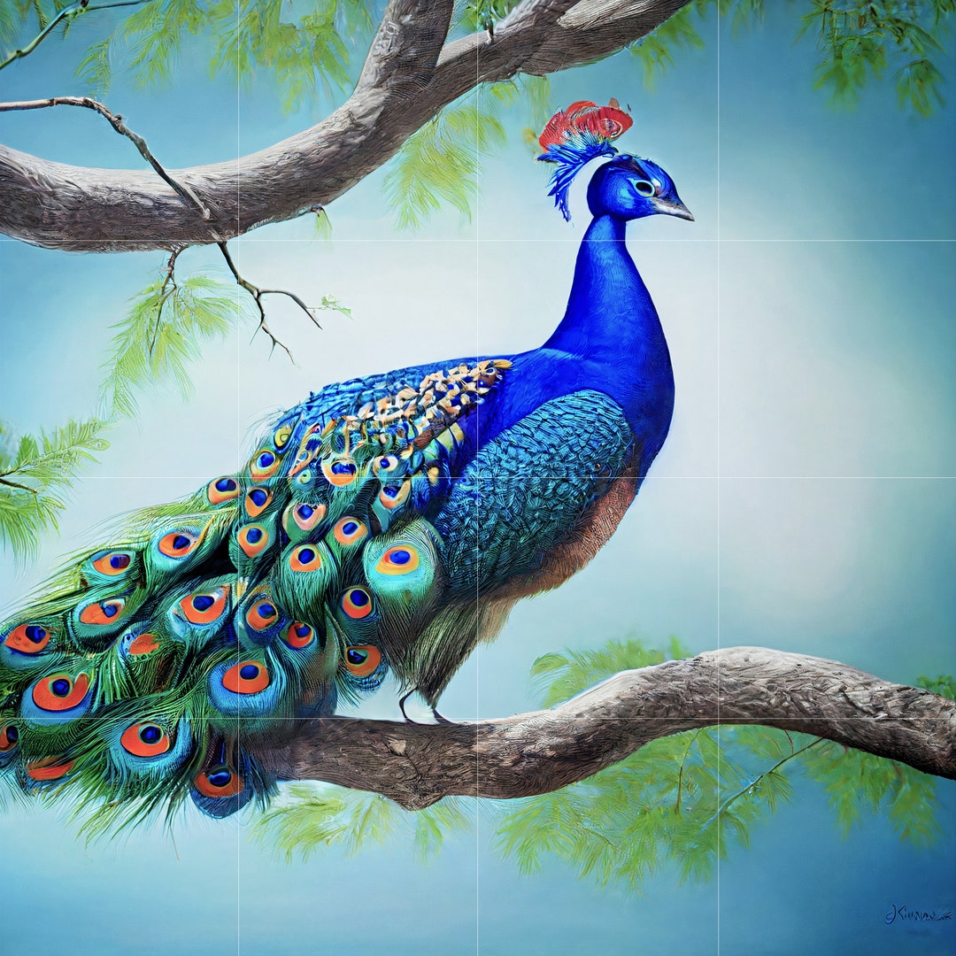 Tile Mural/mosaic Ceramic Panel of Peacock - Bird Wall Art Home Decor ...