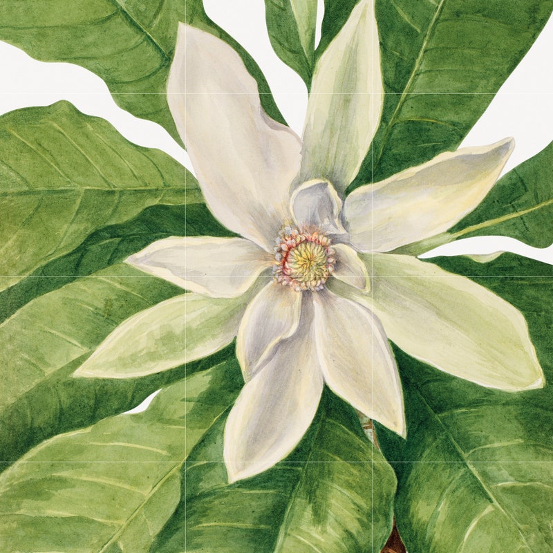 Magnolia Mural - Etsy