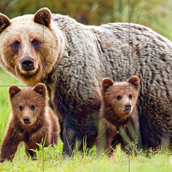Ceramic Wildlife Tiles - Etsy
