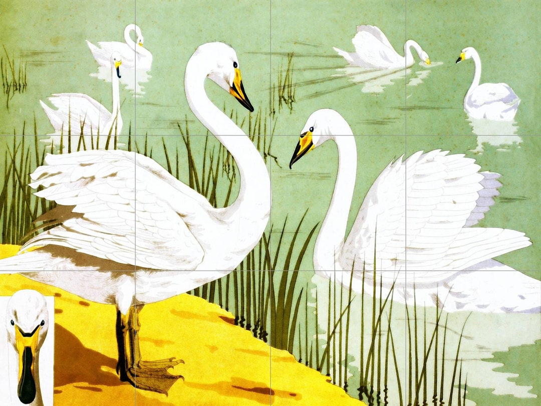 Tile Mural/mosaic Ceramic Panel of Swan Bird Mural Swans Wall Decor ...