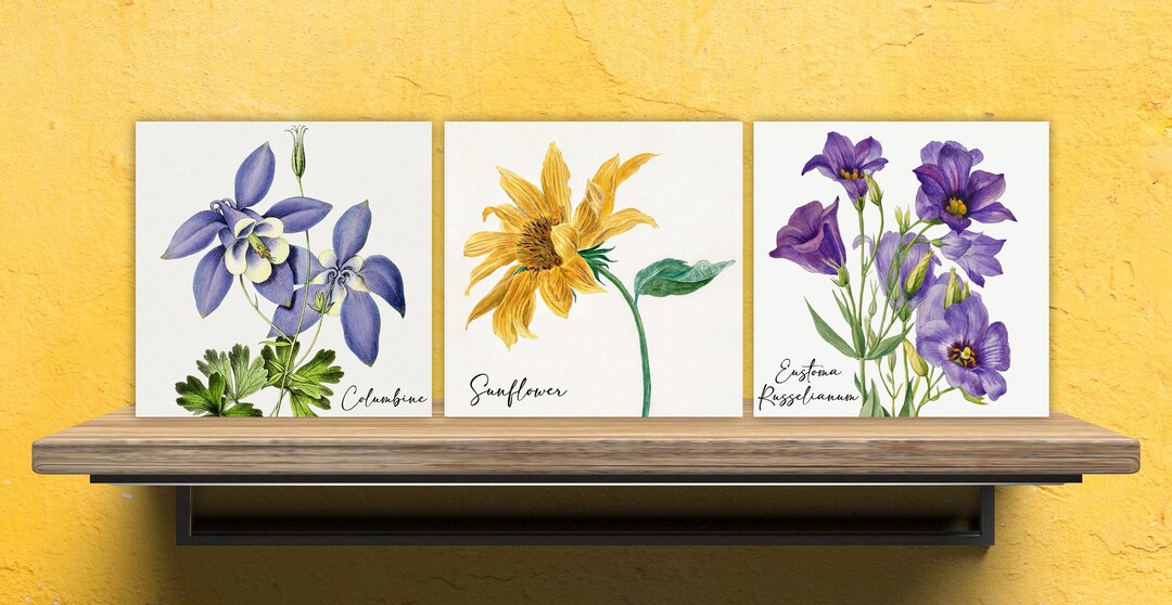 Vintage Botanical Print Ceramic Tiles - Set of 3 Floral Decor Tiles - Etsy