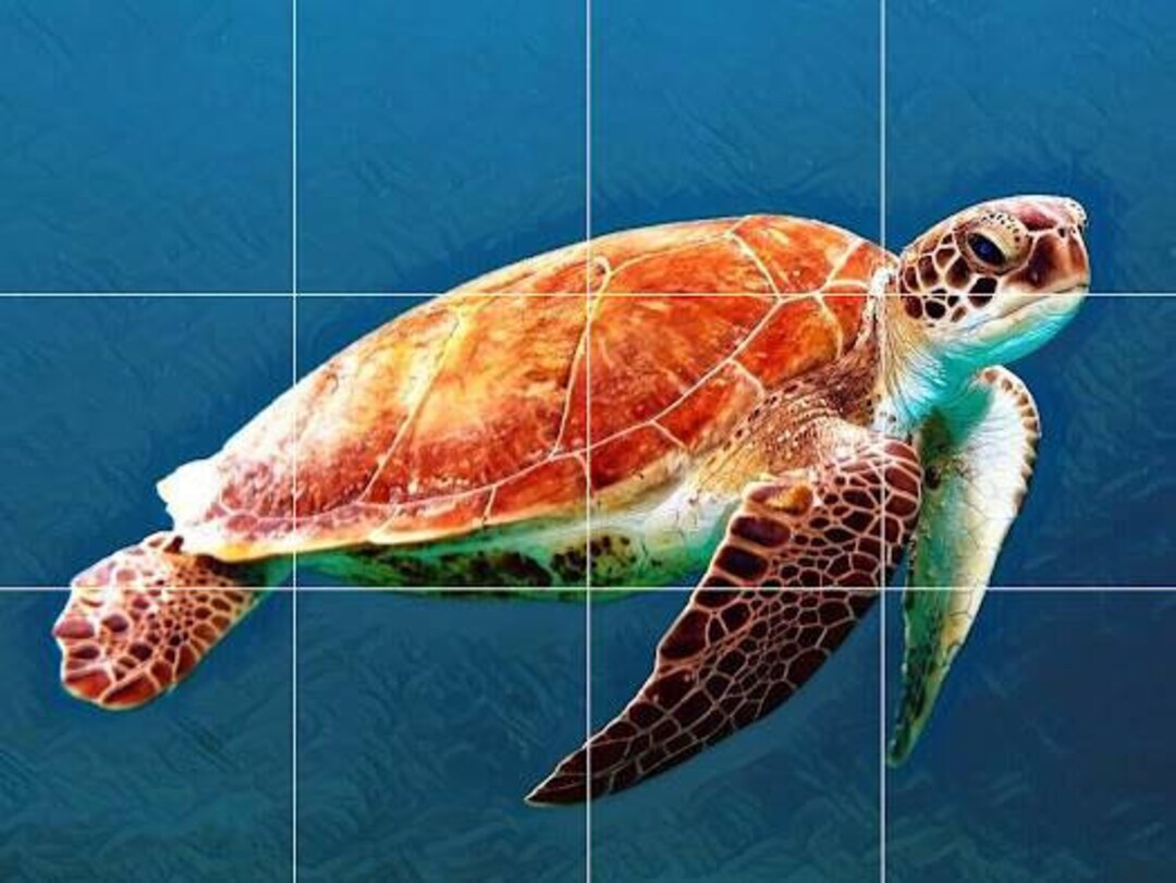 Tile Mural/mosaic Ceramic Panel of a Sea Turtle in the Ocean Colourful ...