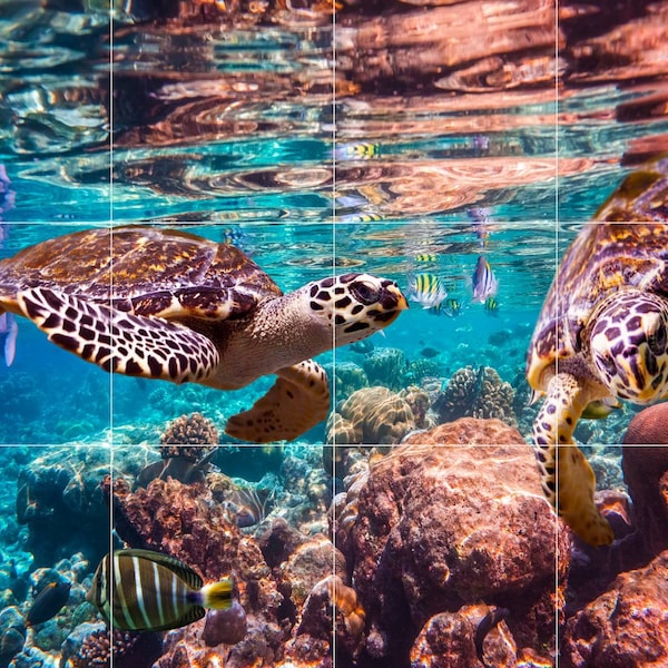 Sea Turtle Mural - Etsy