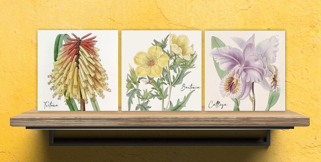 Vintage Botanical Print Ceramic Tiles: Kitchen & Bathroom Decor, Set of ...