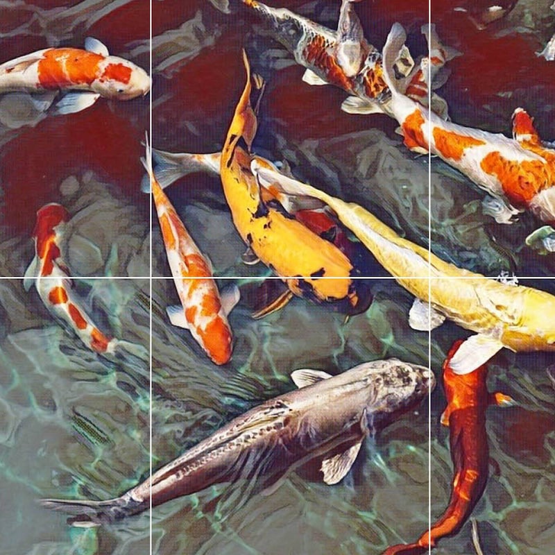 Japanese Koi - Etsy