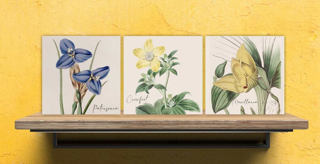 Vintage Botanical Print Ceramic Tiles: Set of 3 Decor Art - Etsy