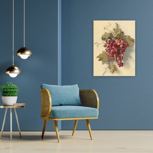 Vintage Botanica Tile Mural of Grapes - Edwin Deakin Print - Fruit Wall ...