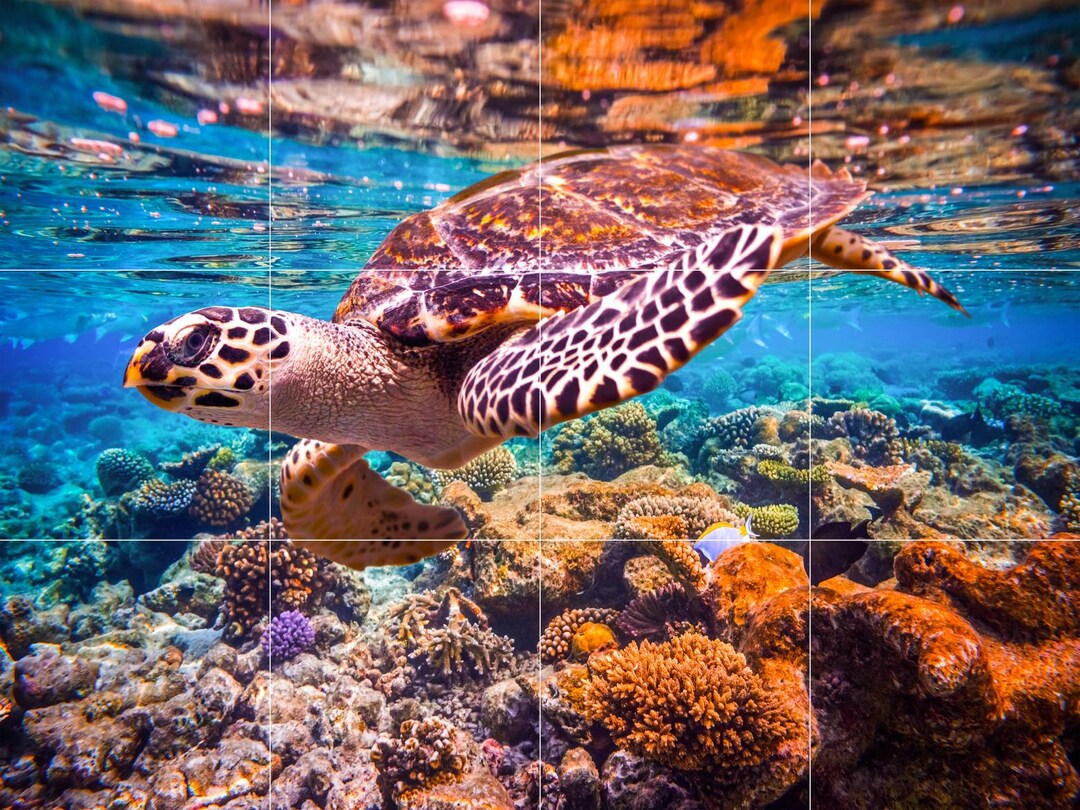 Sea Turtle Tile Mural: Ocean Undersea Ceramic Panel - Etsy