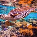 Sea Turtle Tile Mural: Ocean Undersea Ceramic Panel - Etsy