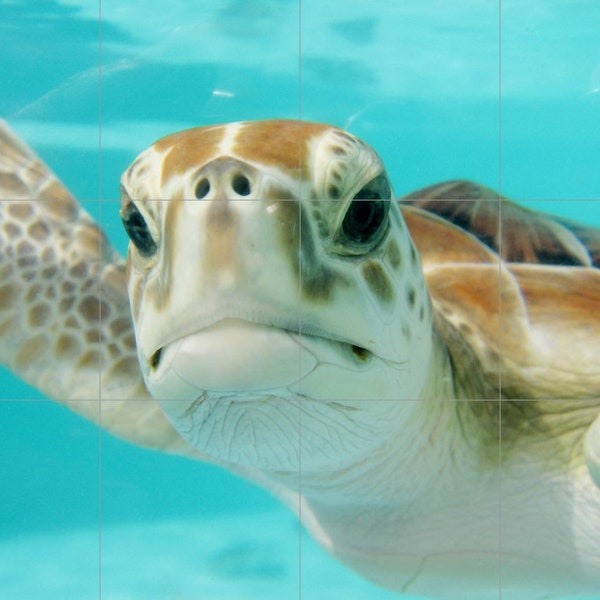 Turtle Shower Tile - Etsy