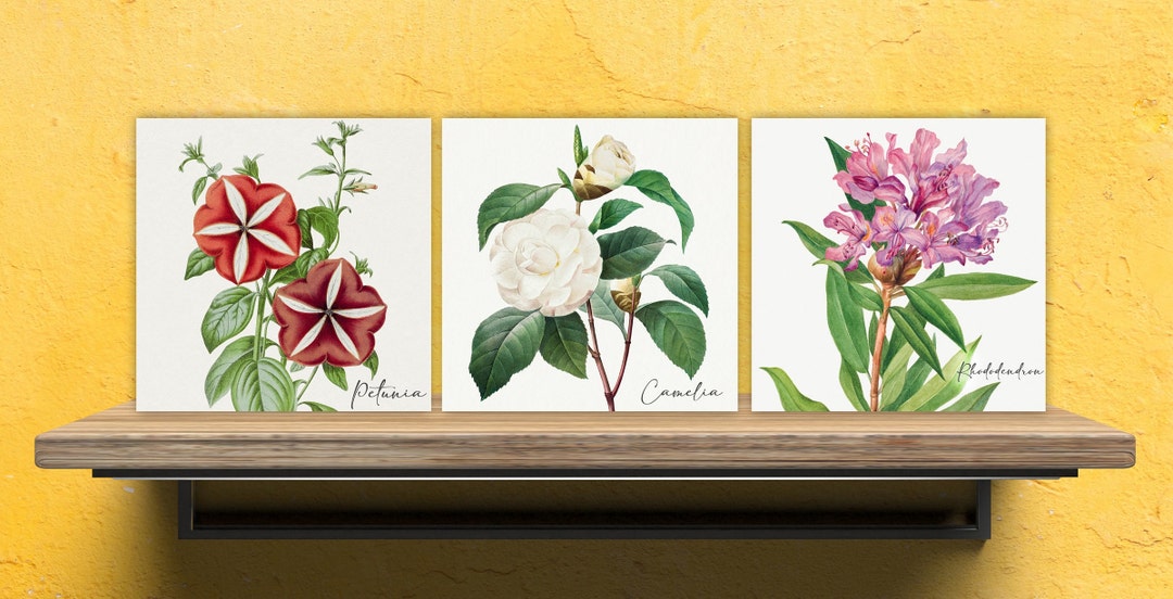 Vintage Botanical Print Ceramic Tiles: Kitchen & Bathroom Decor, Set of ...