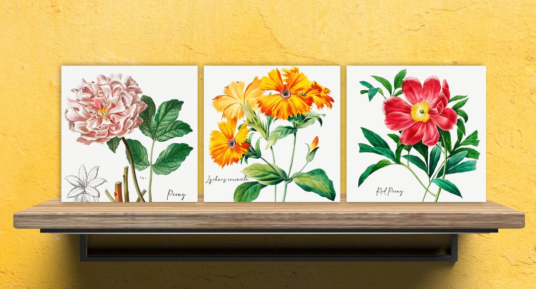 Vintage Botanical Print Ceramic Tiles Set of 3 Ceramic Decor Tiles ...
