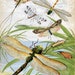 Tile Mural/mosaic Ceramic Panel of Dragonflies William Houghton Insect ...