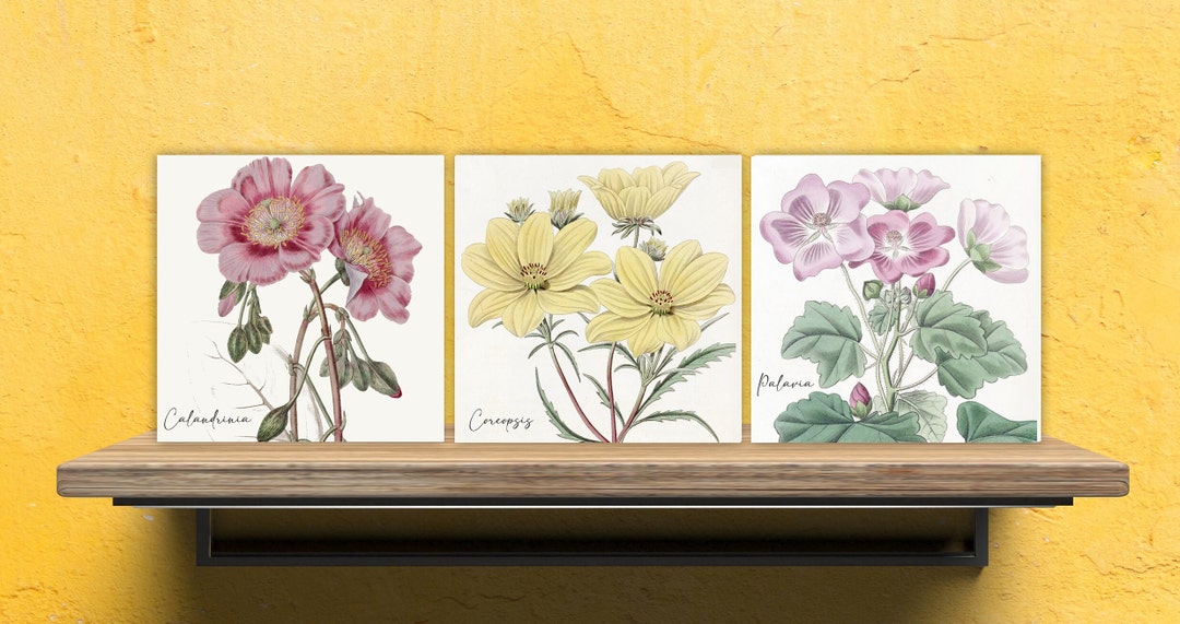 Vintage Botanical Print Ceramic Tiles: Kitchen & Bath Art - Set of 3 - Etsy