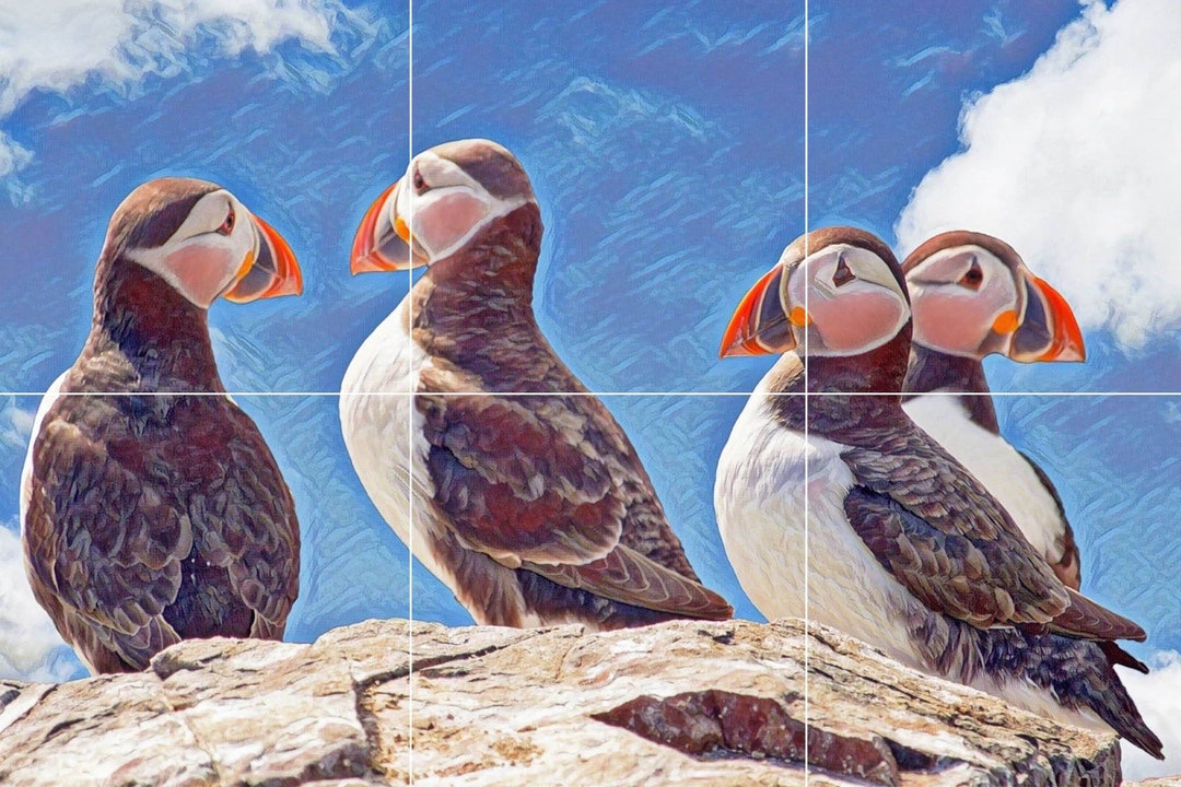 Tile Mural/mosaic Ceramic Panel of Puffins Puffin Wall Print Puffins ...