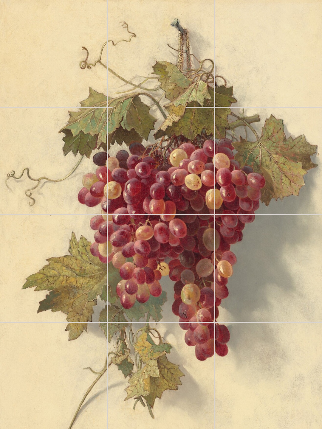 Vintage Botanica Tile Mural of Grapes - Edwin Deakin Print - Fruit Wall ...