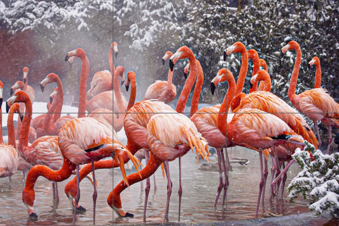 Flamingos in Snow Ceramic Tile Mural: Tropical Bird Wall Art - Etsy