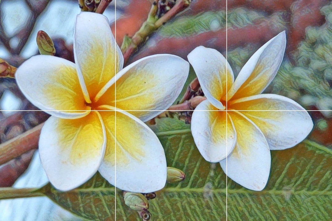 Tile Mural/mosaic Ceramic Panel of Frangipani Flowers frangipani Wall ...