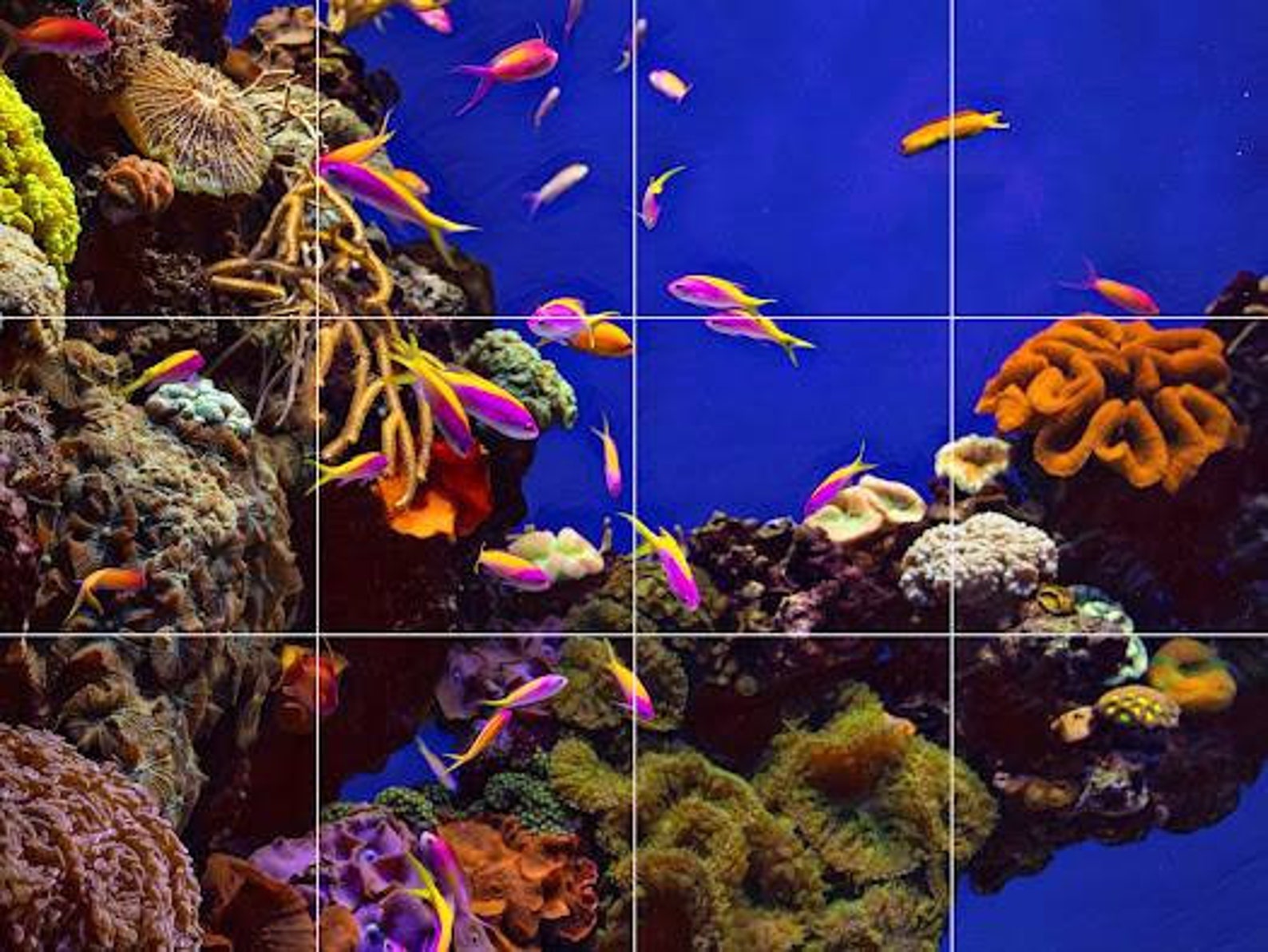 Tile Mural/mosaic Ceramic Panel of Undersea Coral Reef Coral - Etsy