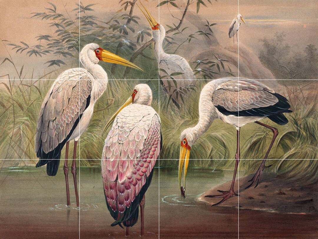 Tile Mural/mosaic Ceramic Panel of the African Wood Ibis - Joseph Wolf ...