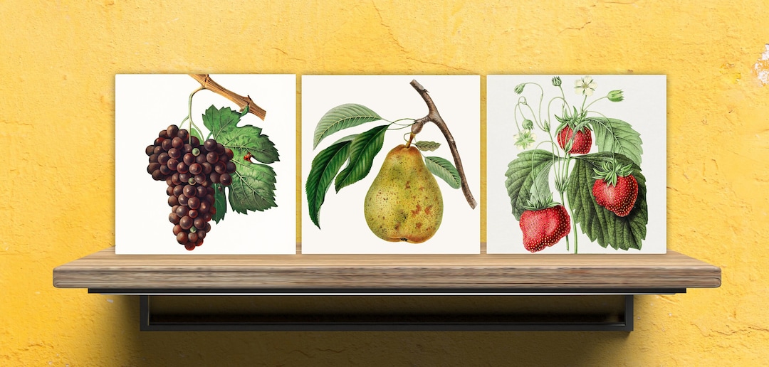Vintage Fruit Print Ceramic Tiles - Set of 3 Ceramic Decor Tiles ...
