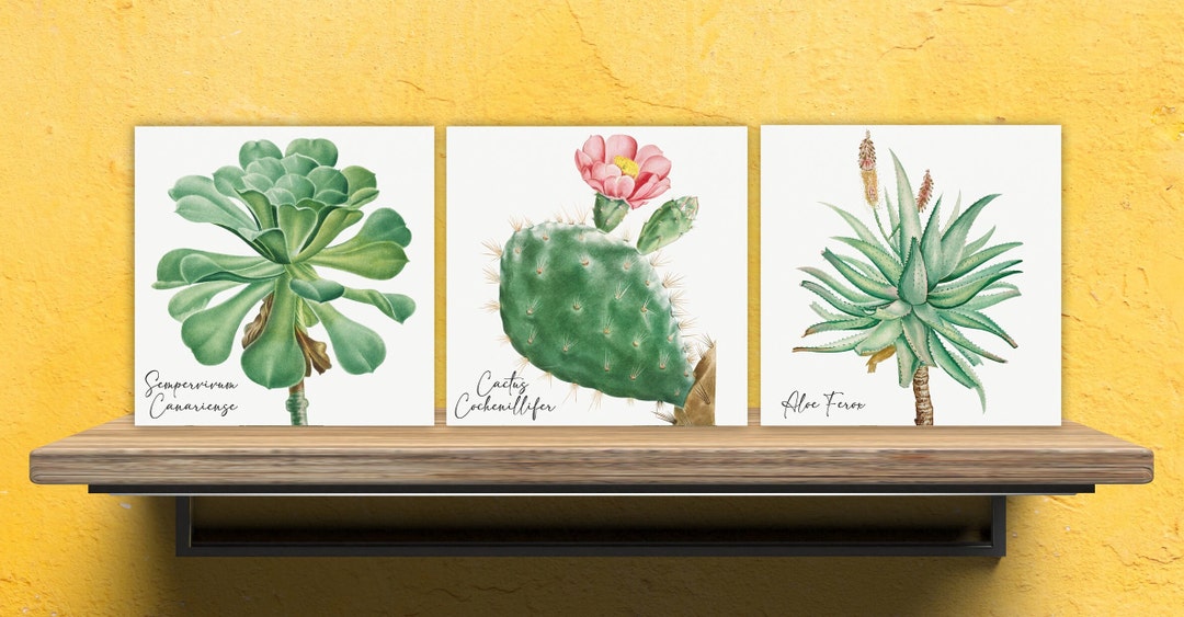 Vintage Botanical Print Ceramic Tiles - Set of 3 Ceramic Decor Tiles ...