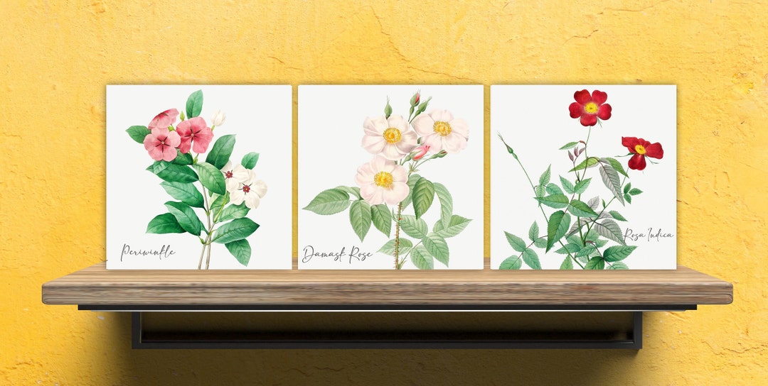 Vintage Botanical Print Ceramic Tiles: Kitchen & Bath Art - Set of 3 - Etsy