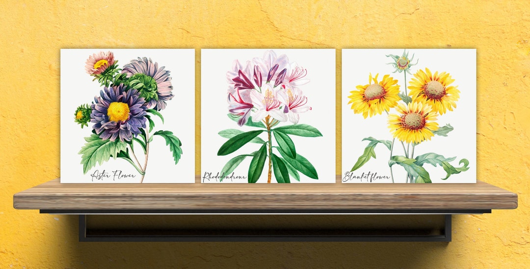 Vintage Botanical Print Ceramic Tiles: Kitchen & Bath Decor, Set of 3 ...