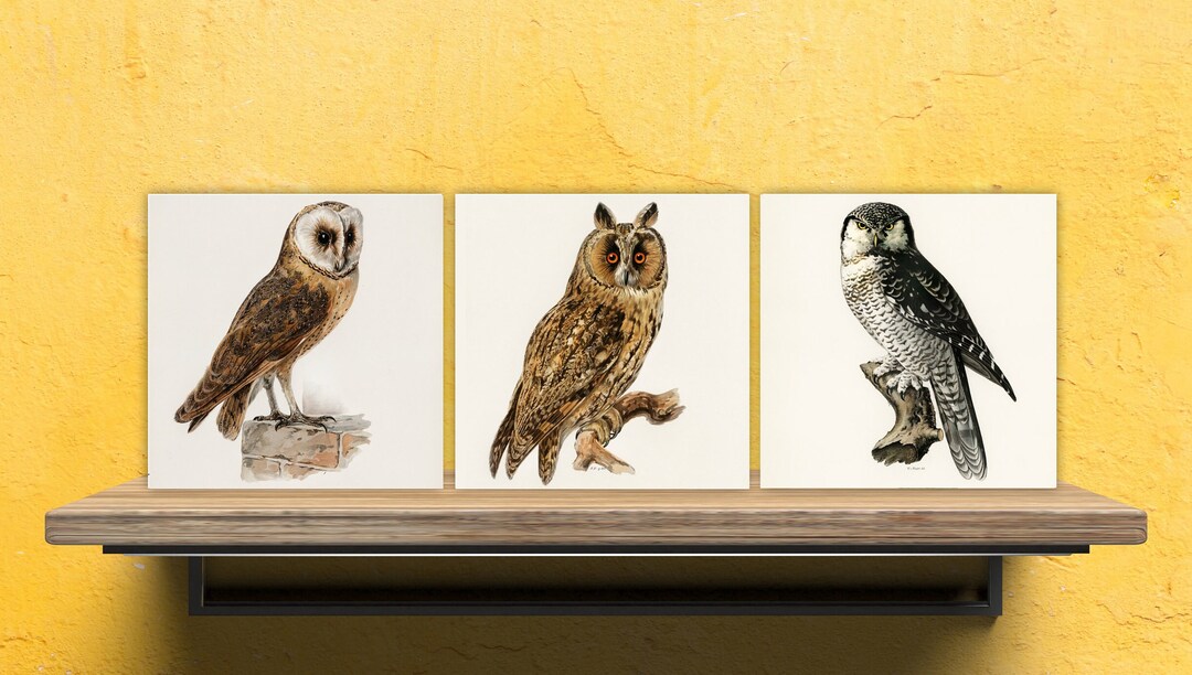 Vintage Owl Print Ceramic Tiles - Set of 3 Ceramic Decor Tiles ...